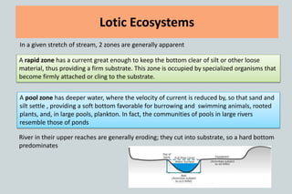 Freshwater ecosystem (2) | PPTX