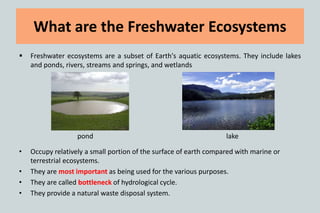 Freshwater Ecosystems
