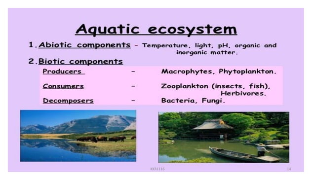 Fresh water ecosystem | PPTX