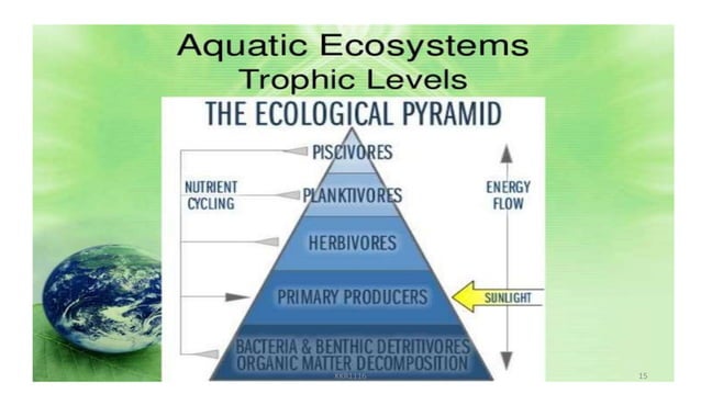 Fresh water ecosystem | PPTX