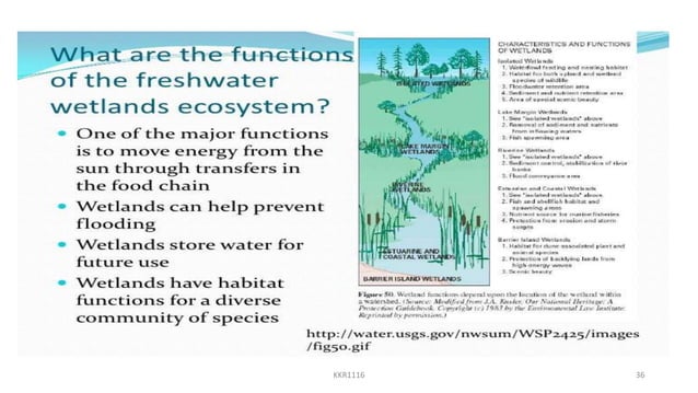 Fresh water ecosystem | PPTX