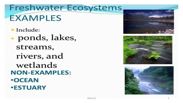 Fresh water ecosystem | PPTX