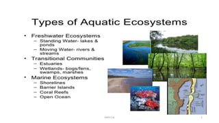 Water Ecosystems