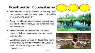 Freshwater Aquatic Ecosystem