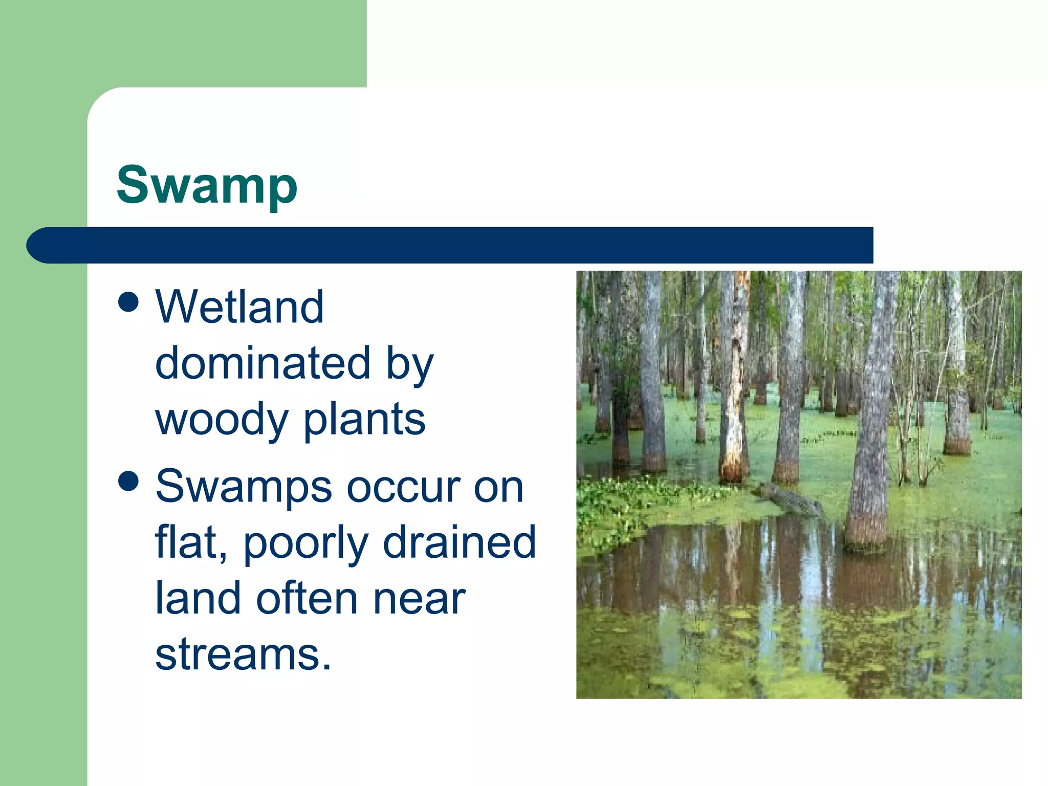 Freshwater Ecosystems | PPT