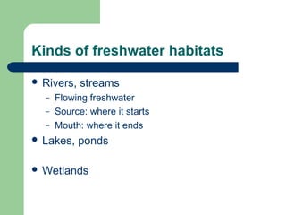 Freshwater Ecosystems | PPT