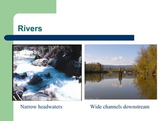Freshwater Ecosystems | PPT