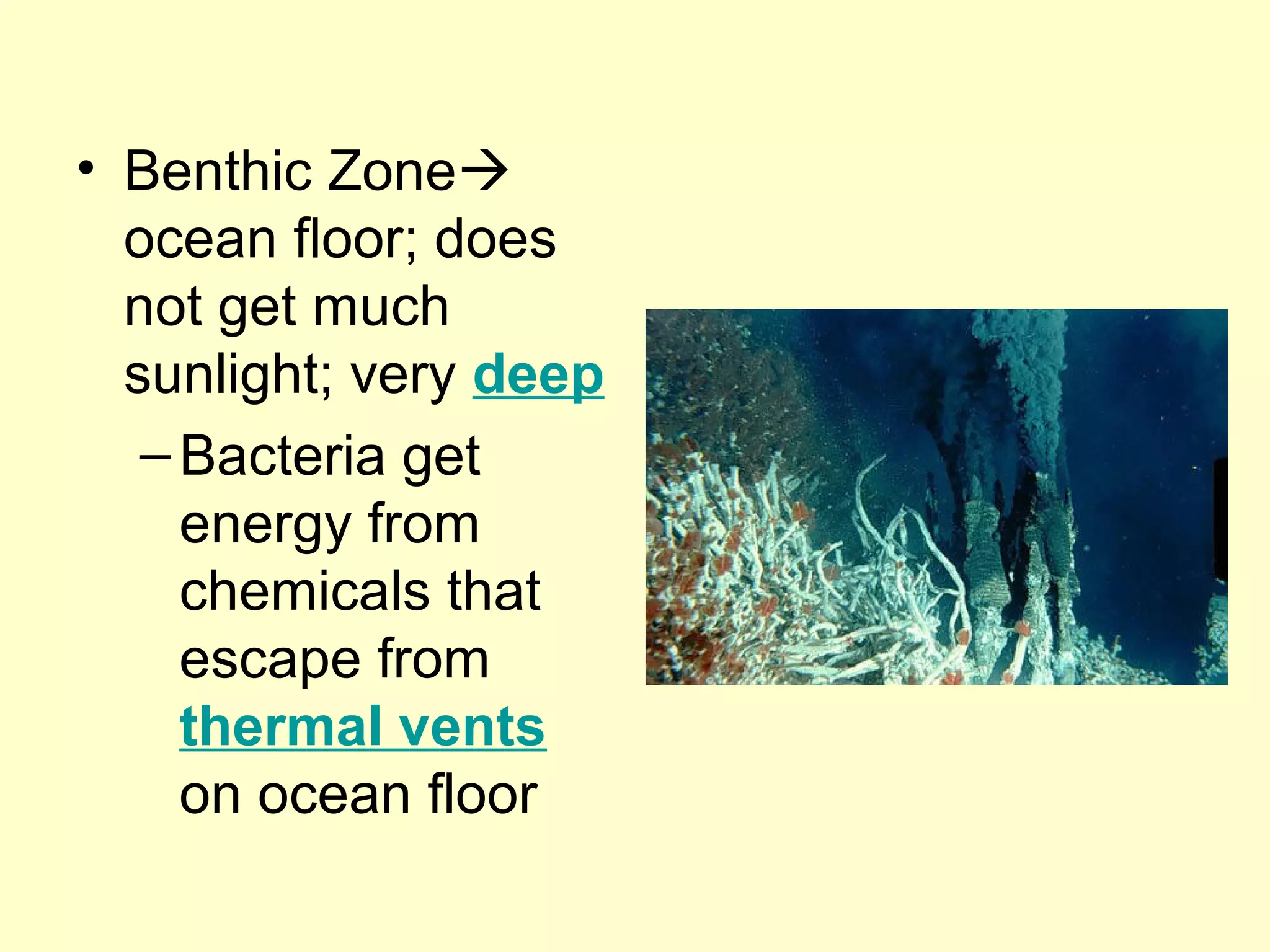 Freshwater ecosystems | PPT | Geography | Science
