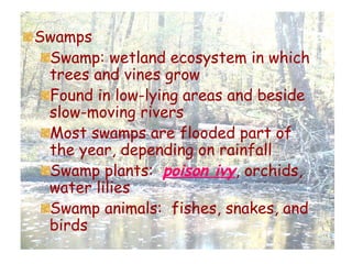 Freshwater ecosystems | PPT | Geography | Science