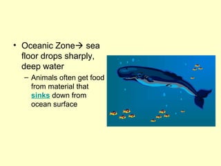 Freshwater ecosystems | PPT | Geography | Science