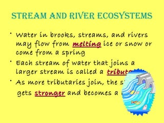 Freshwater ecosystems | PPT | Geography | Science