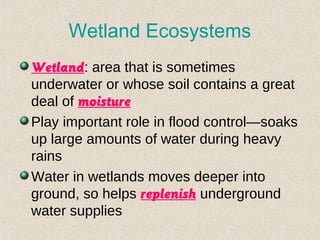 Freshwater ecosystems | PPT | Geography | Science