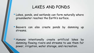 Fresh water ecosystems | PPTX