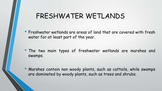 Fresh water ecosystems | PPTX