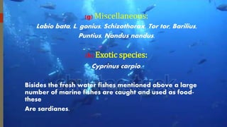Fresh water edible fishes | PPTX