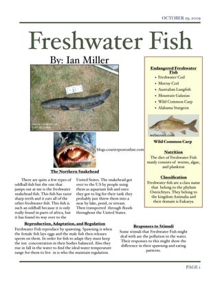 Freshwater Fish | PDF