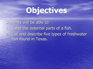 Freshwater Fish ppt. (1).ppt