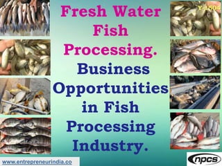 Fresh water fish processing | PPT