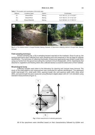 Freshwater gastropod diversity in the selected lotic environment ...