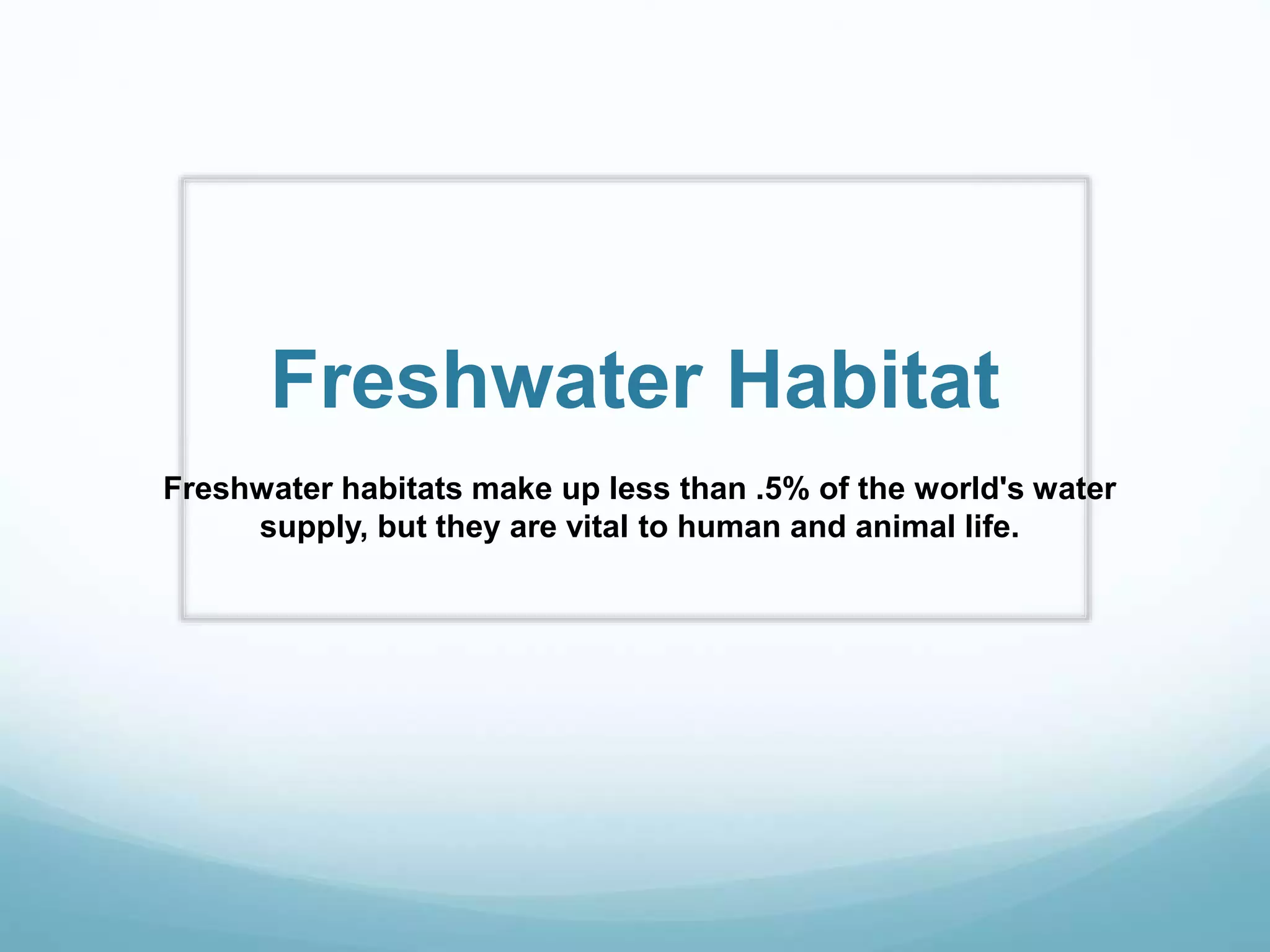 Freshwater Habitat | PPTX