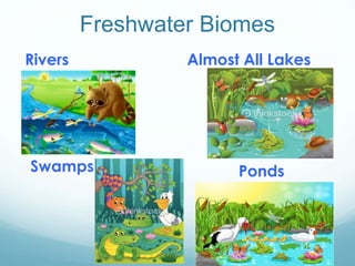 Freshwater Habitat | PPTX