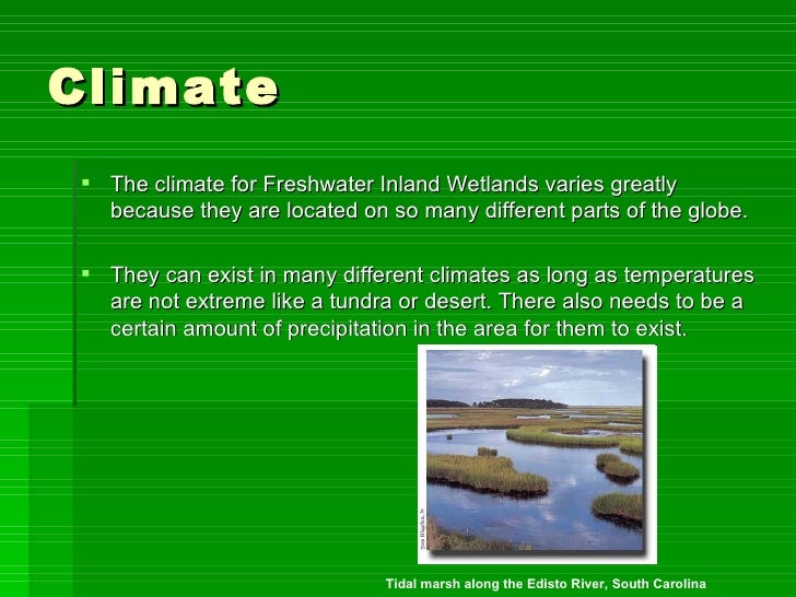Freshwater Climate