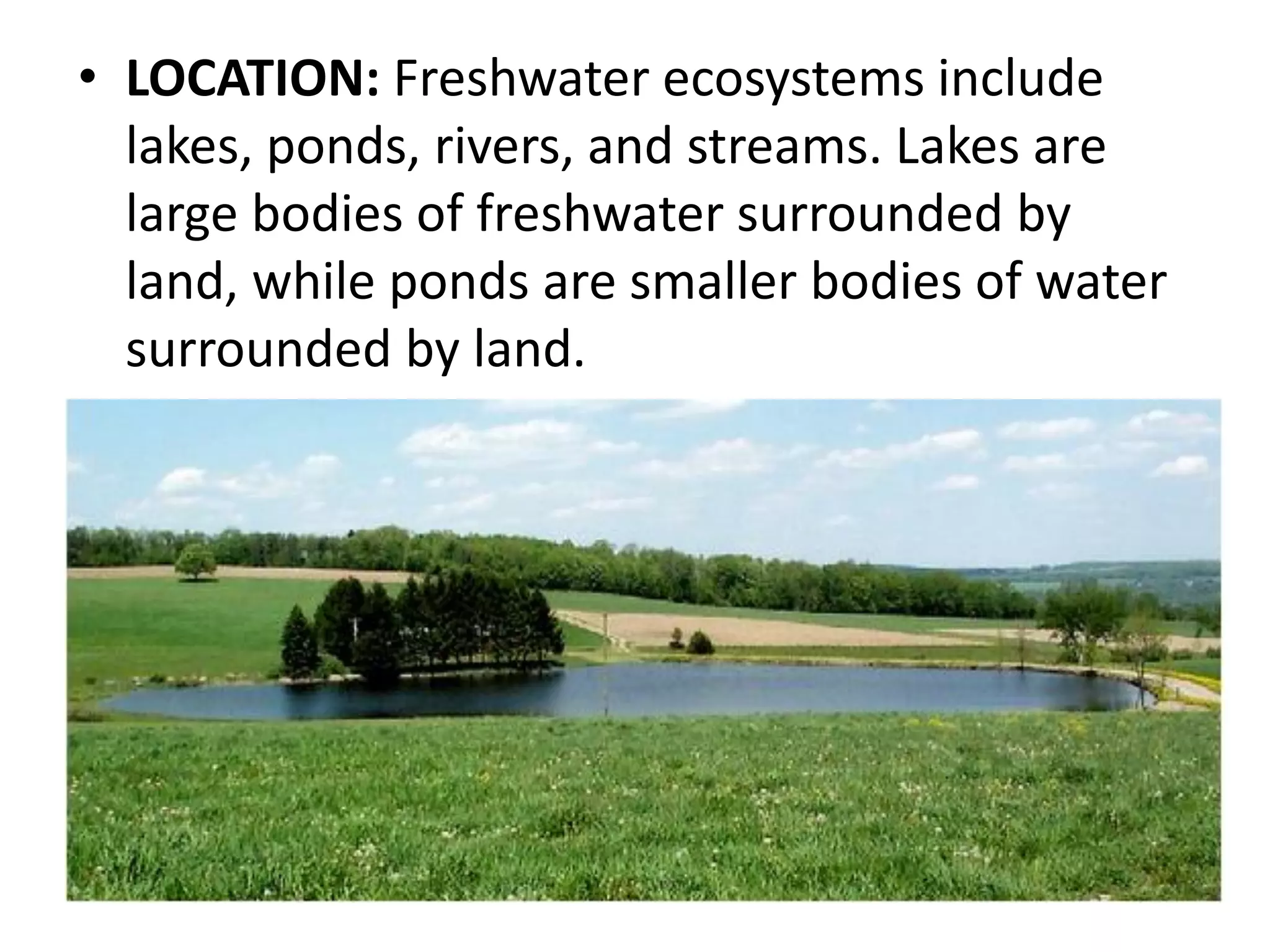 Freshwater in the world and in Ecuador | PPT