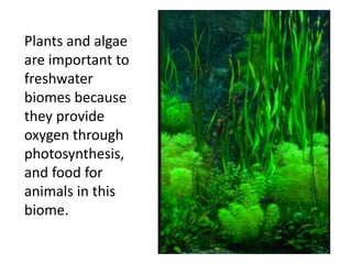 Freshwater in the world and in Ecuador | PPT