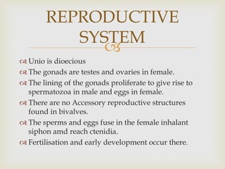 Freshwater mussel enr.. | PPTX