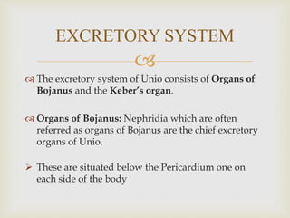 Freshwater mussel enr.. | PPTX