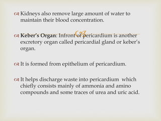 Freshwater mussel enr.. | PPTX