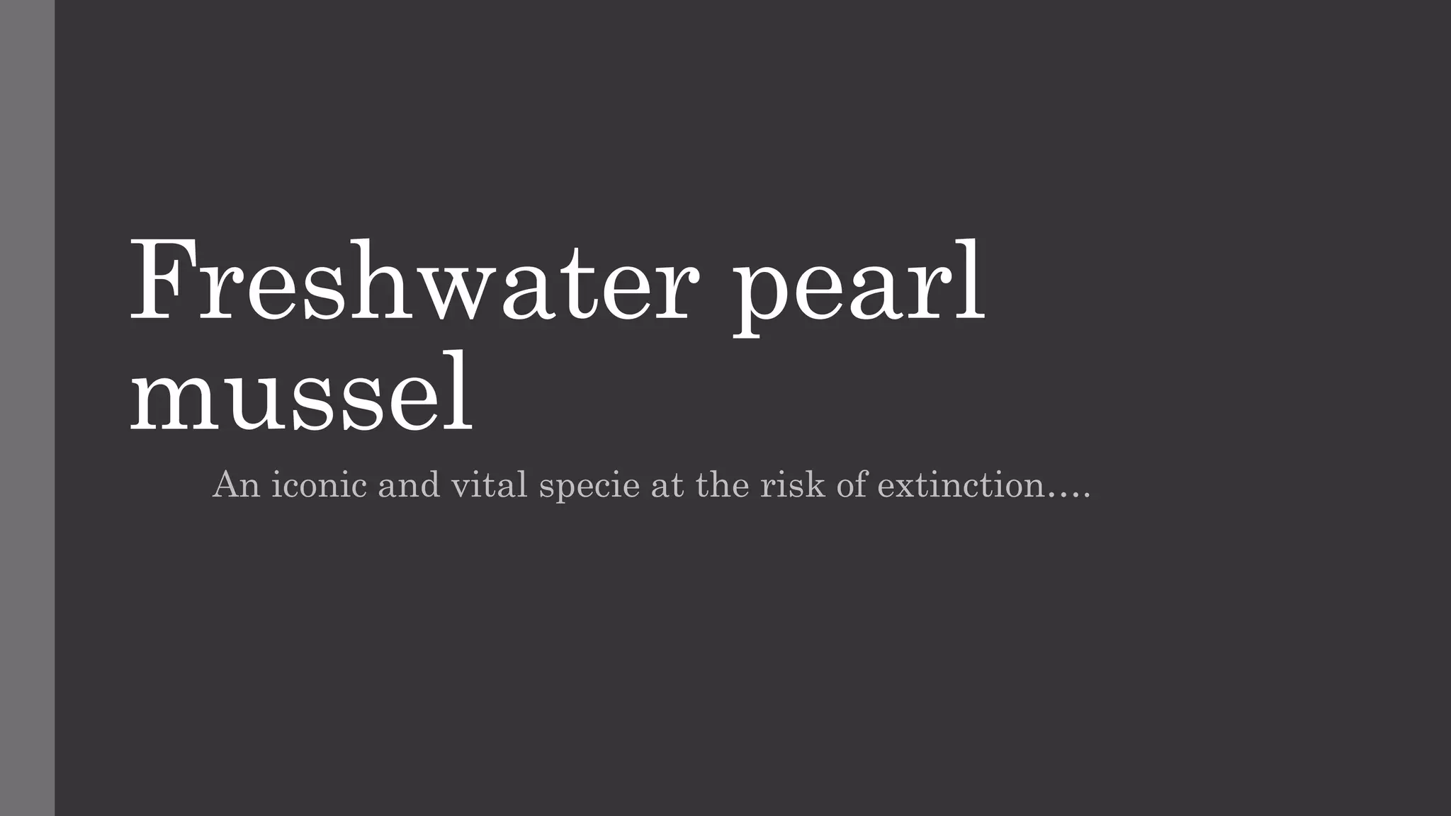 Freshwater Pearl Mussel (Margaritifera margaritifera): An iconic specie ...