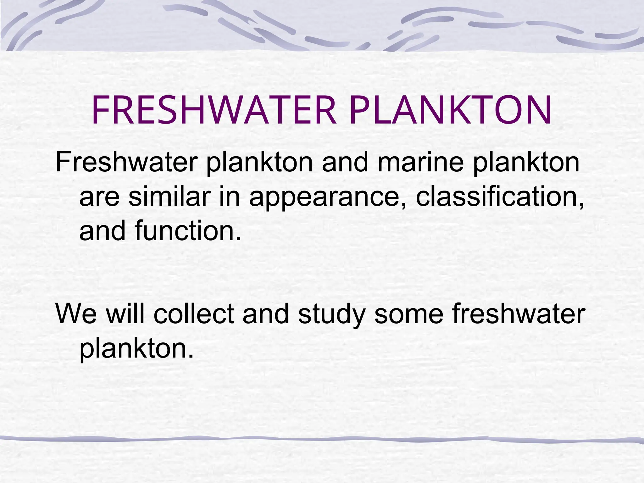 FRESHWATERPLANKTON slide presentasi about plankton.ppt