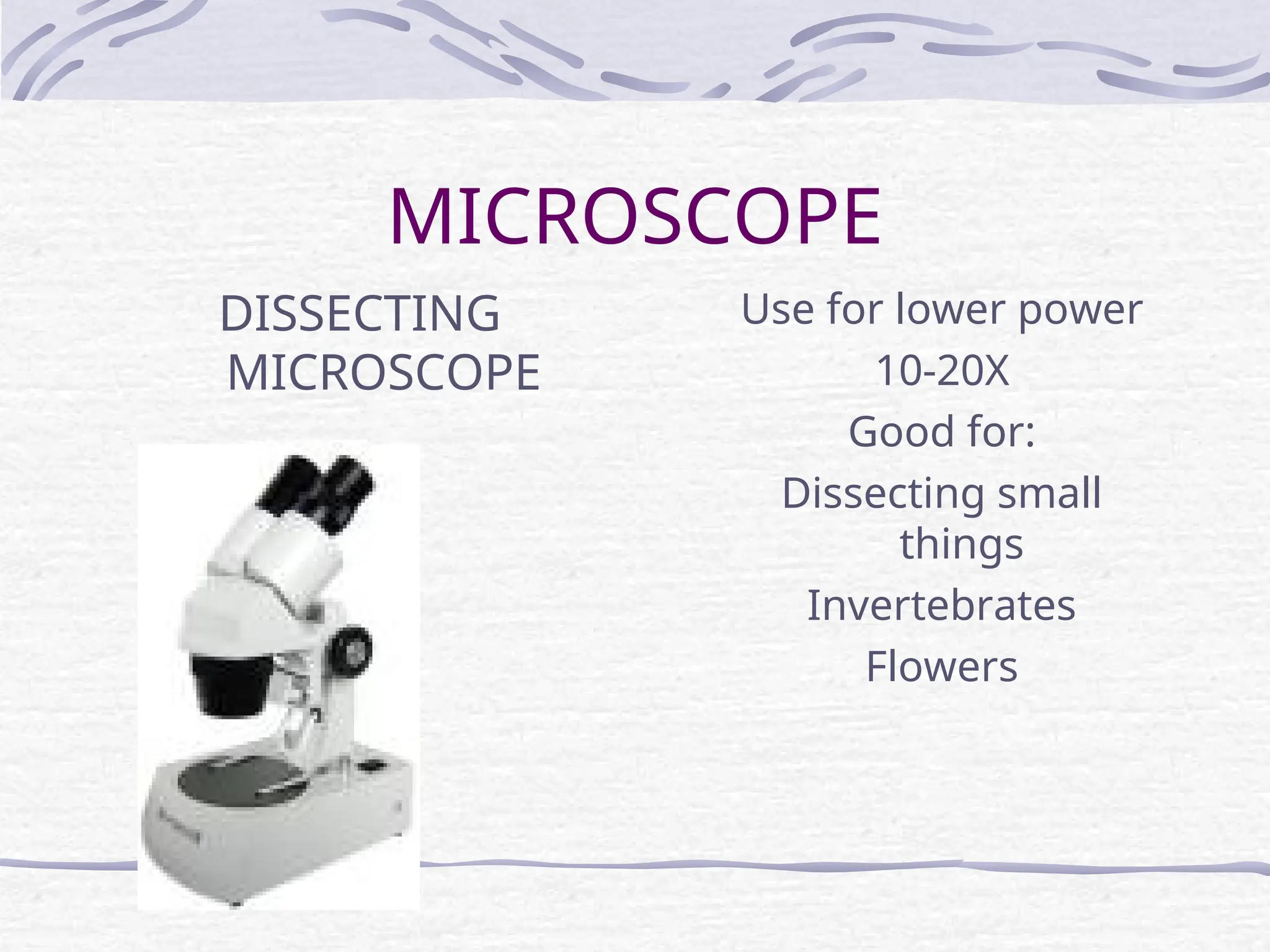 FRESHWATERPLANKTON slide presentasi about plankton.ppt