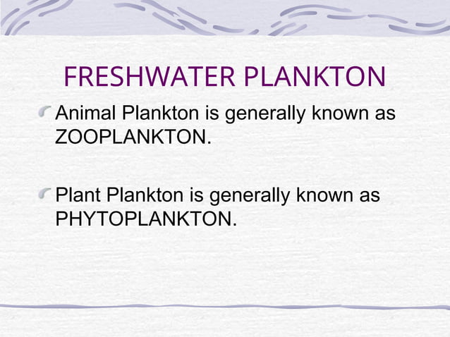 FRESHWATERPLANKTON slide presentasi about plankton.ppt