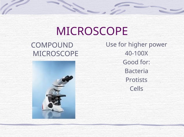 FRESHWATERPLANKTON slide presentasi about plankton.ppt