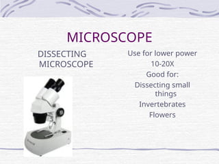 FRESHWATERPLANKTON slide presentasi about plankton.ppt