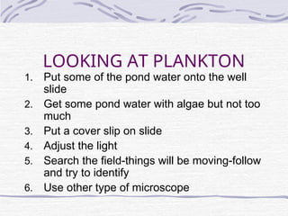 FRESHWATERPLANKTON slide presentasi about plankton.ppt