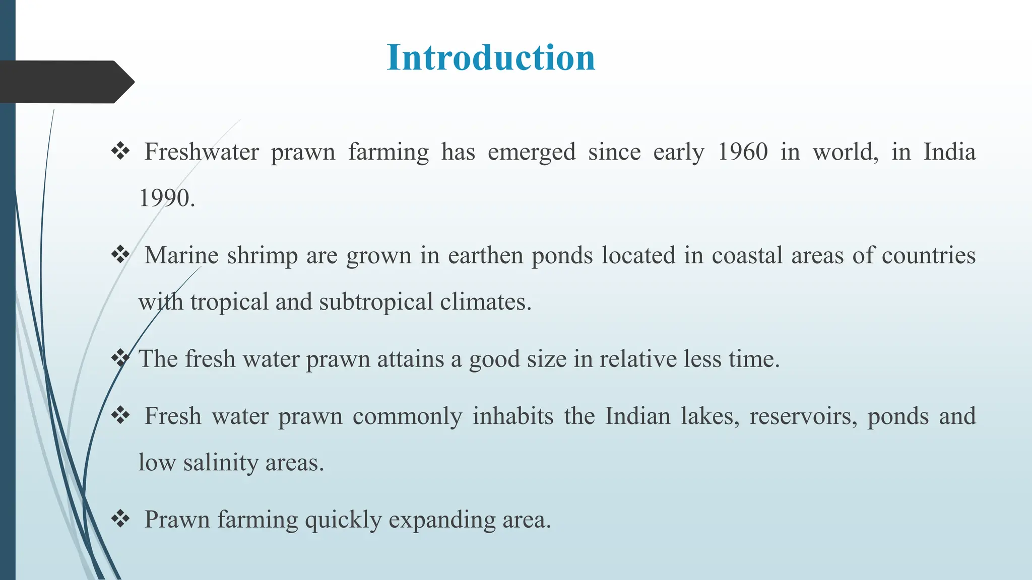 fresh water prawn.pptx