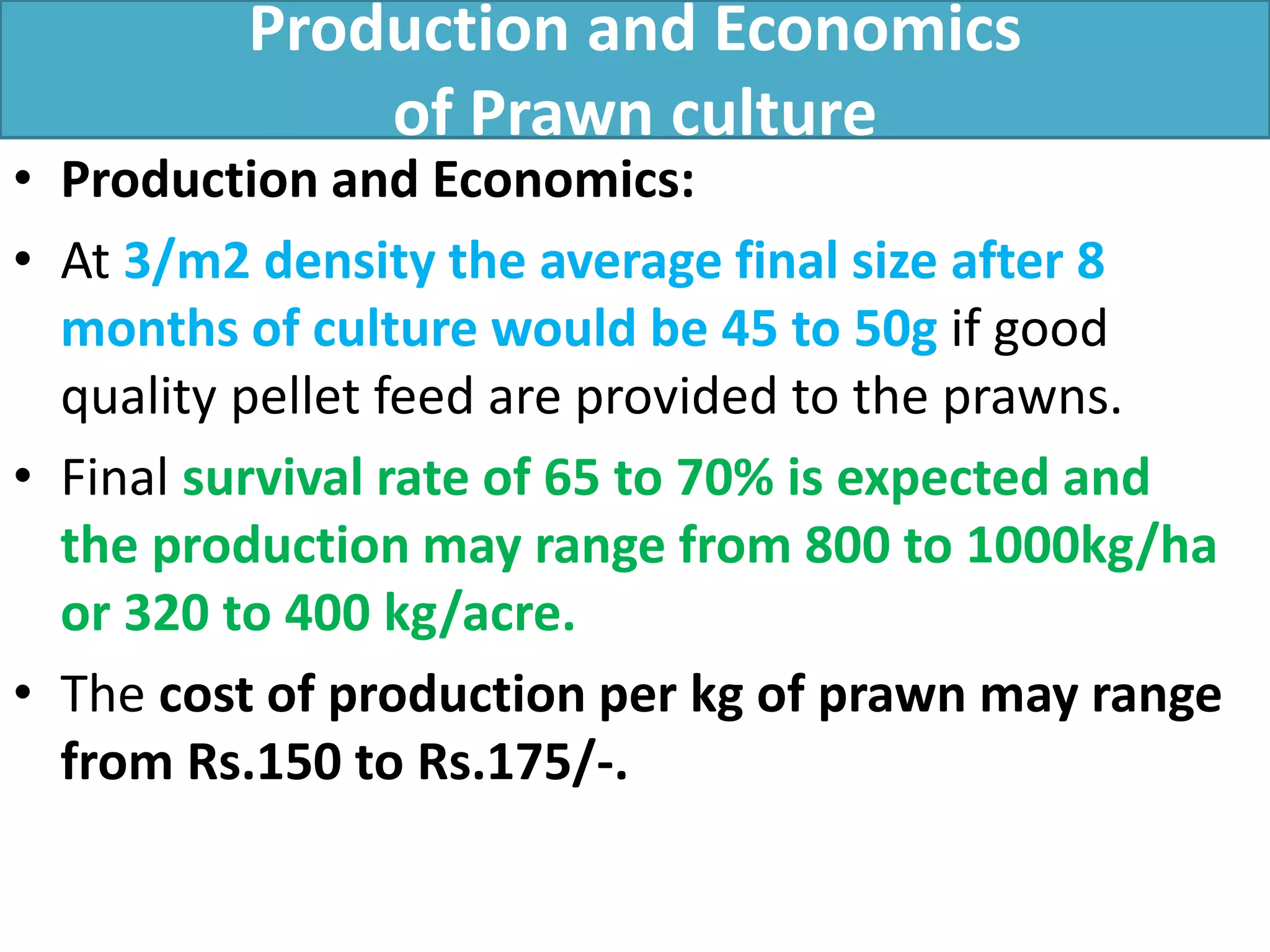 Fresh water prawn breeding and culture | PPTX