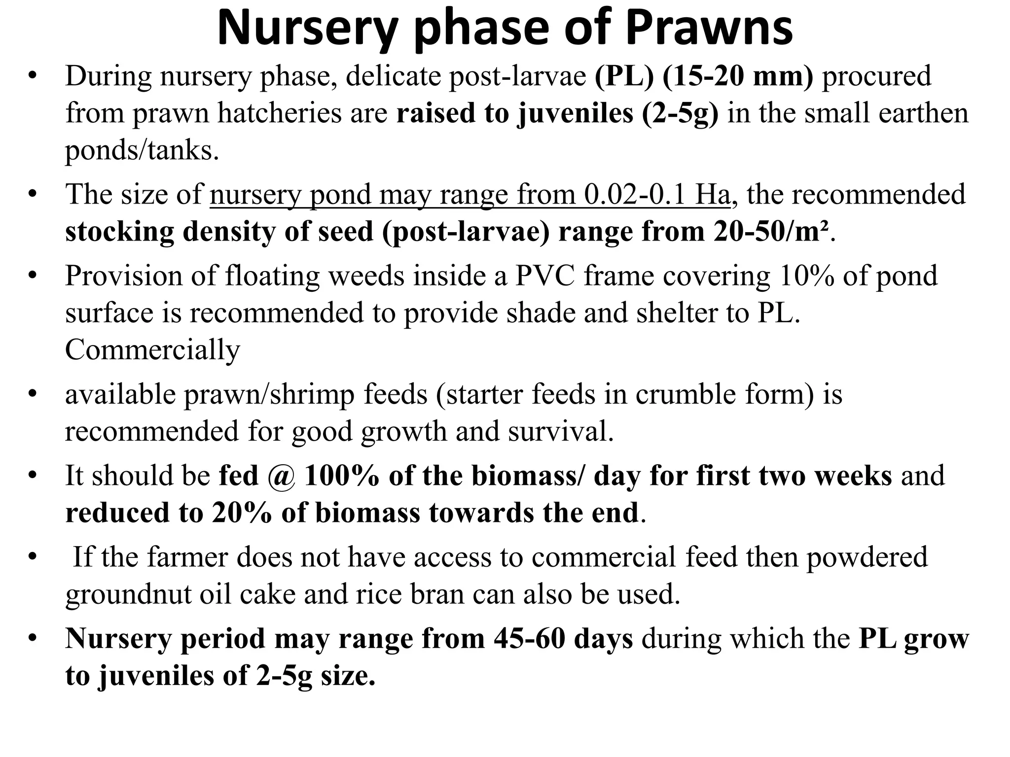 Fresh water prawn breeding and culture | PPTX