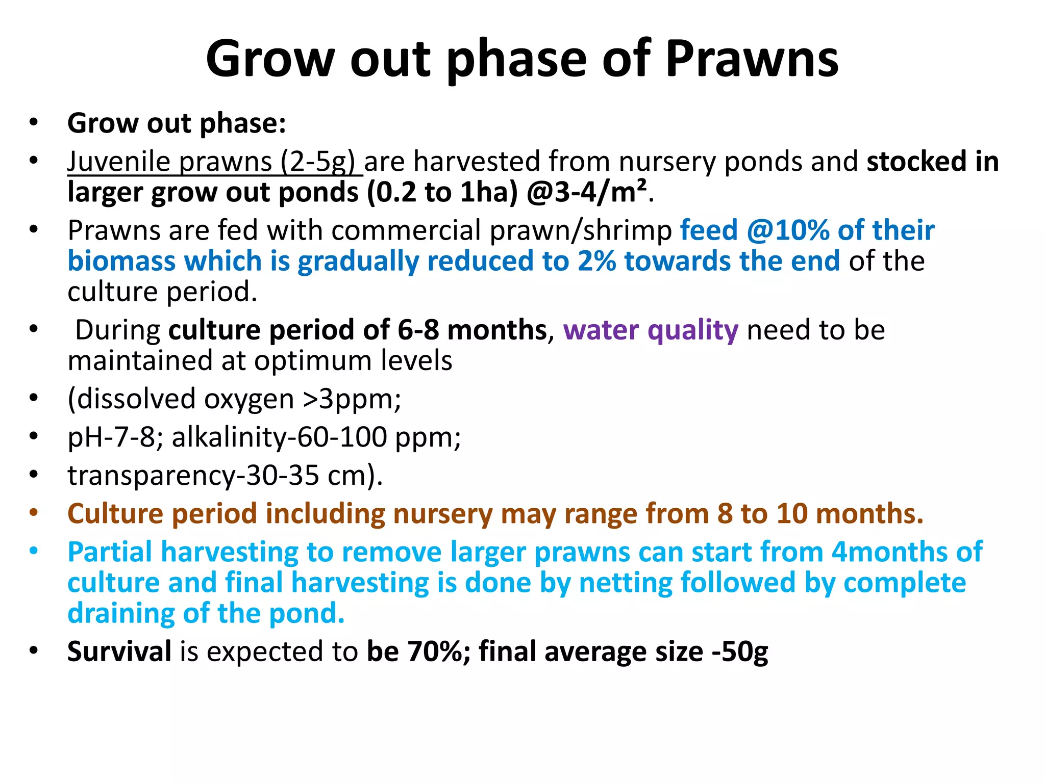 Fresh water prawn breeding and culture | PPTX