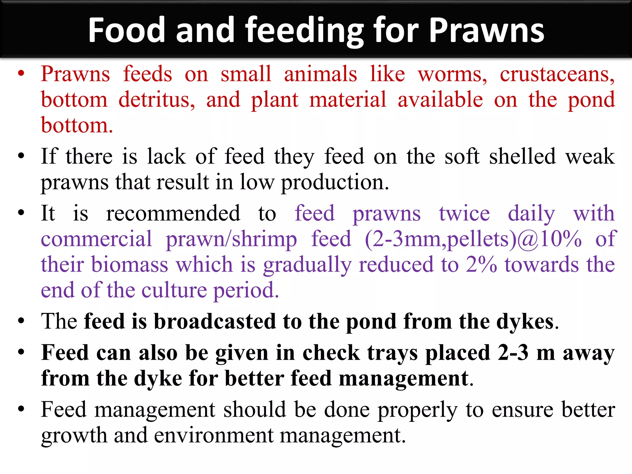 Fresh water prawn breeding and culture | PPTX