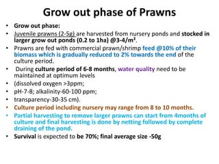 Fresh water prawn breeding and culture | PPTX