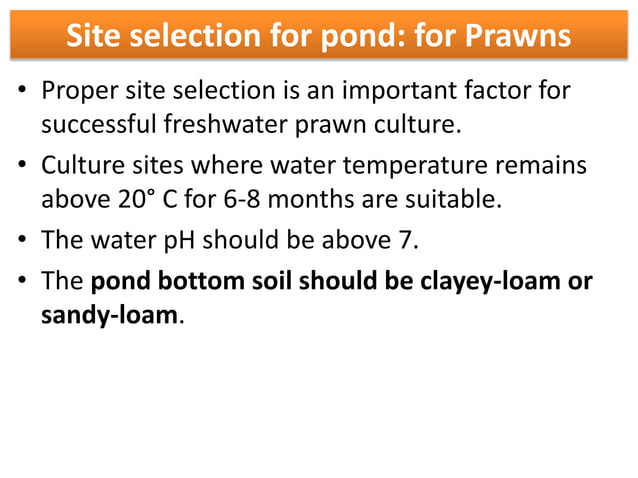 Fresh water prawn breeding and culture | PPTX