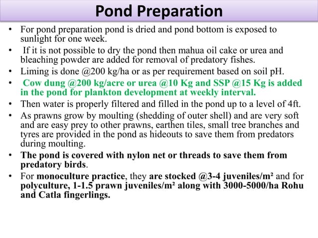 Fresh water prawn breeding and culture | PPTX