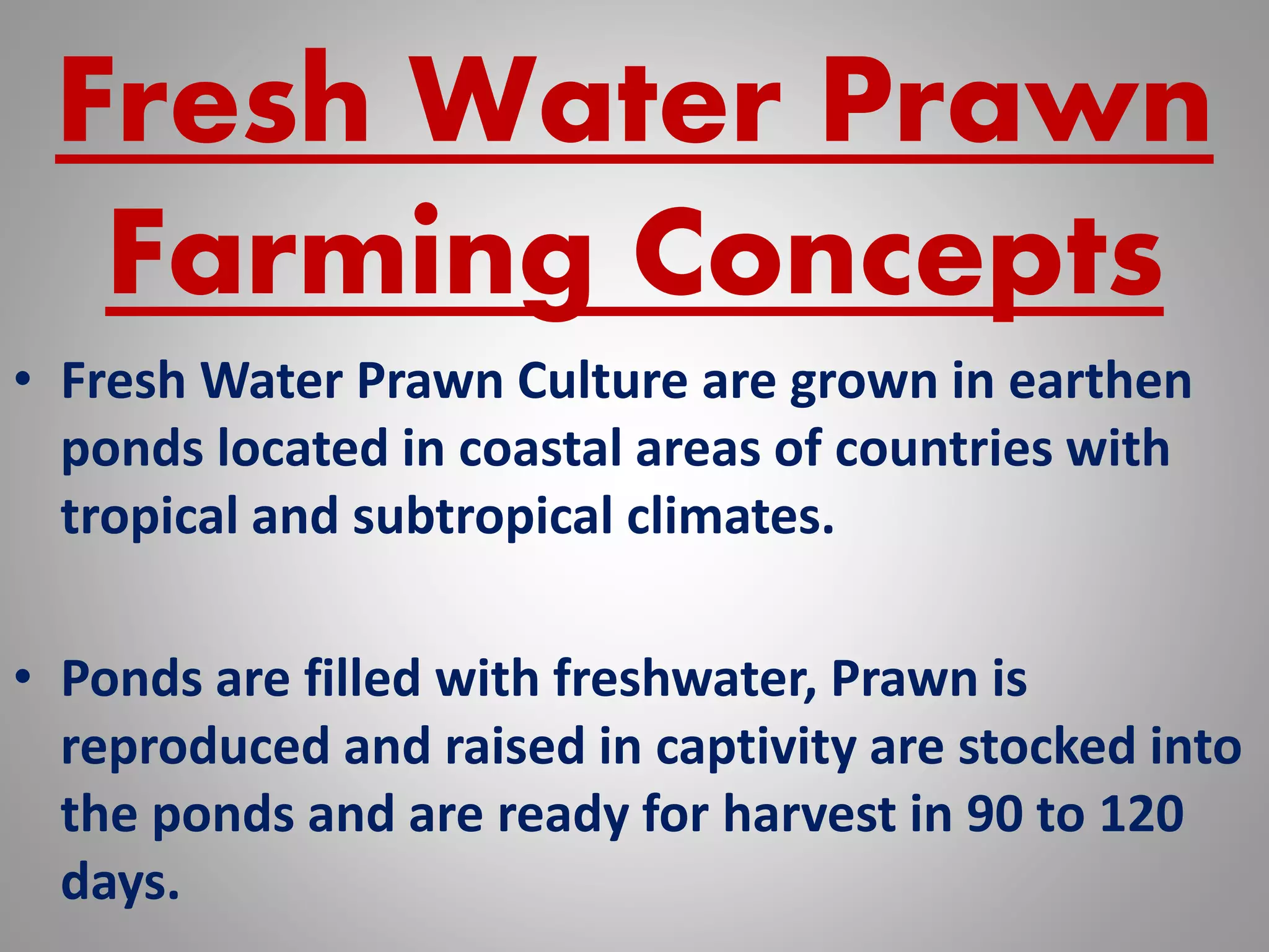 Fresh water prawn culture | PPTX