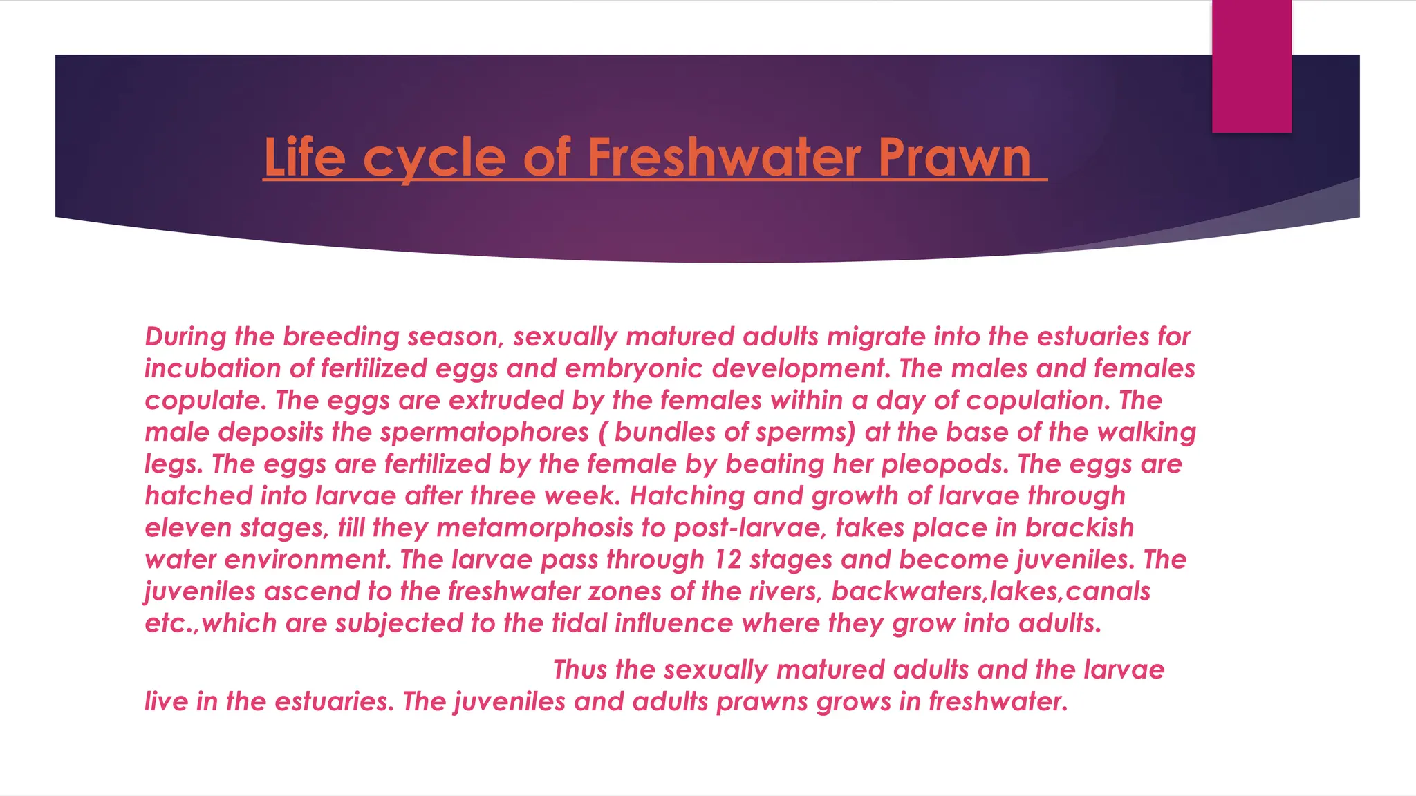 Freshwater prawn culture presentation by Susamay Biswas.pptx