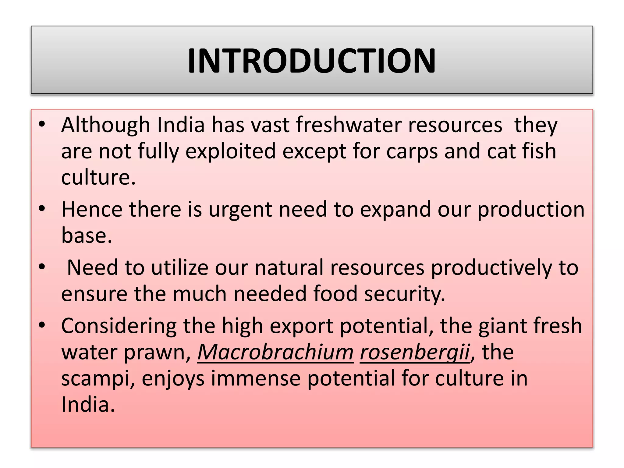 Fresh water prawn farming | PPTX