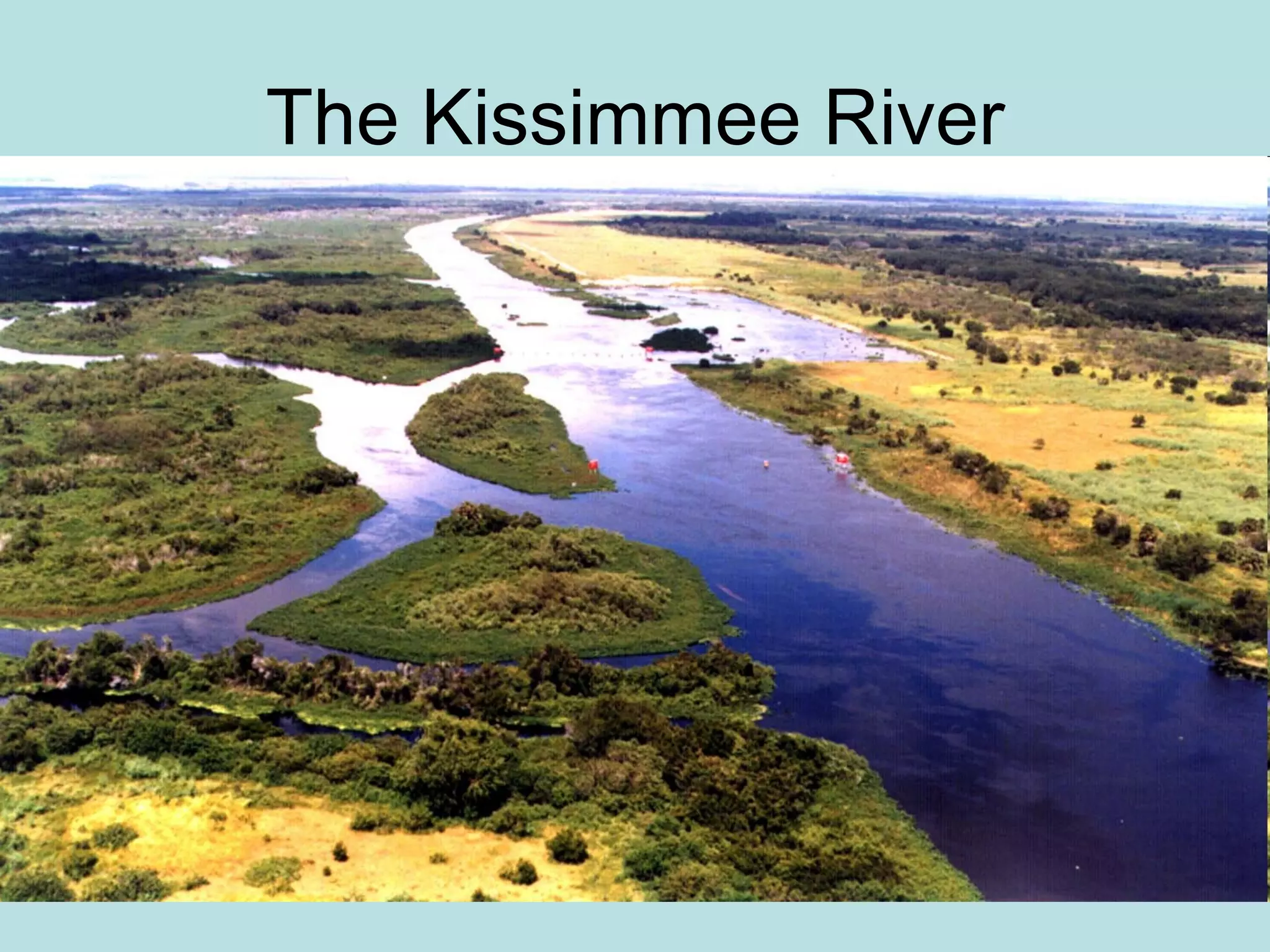 IB Geography Freshwater wetland management | PPT